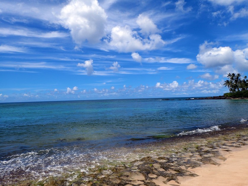 Turtle Beach – JD's Blog